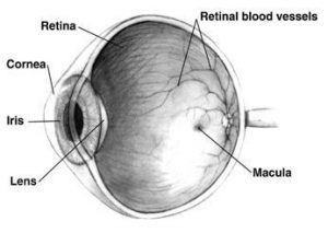 Laser Eye Surgery: Guide/ FAQ